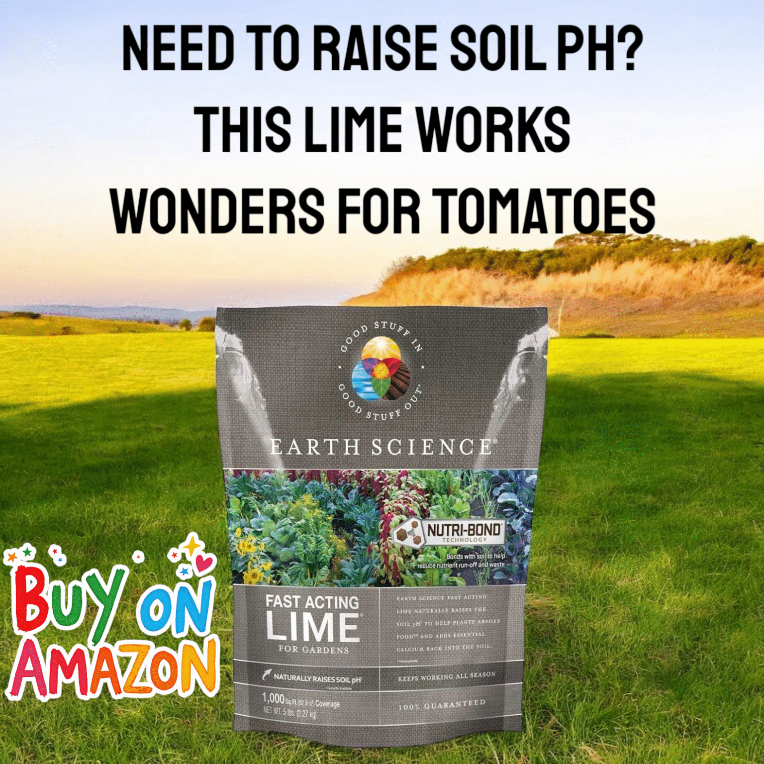 How to Prepare Soil for Tomatoes the Right Way - Tomato Growing Tips