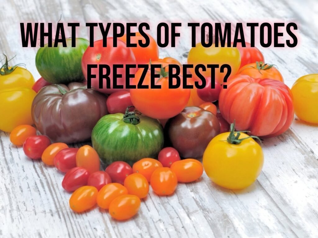 How to Freeze Tomatoes for Winter Cooking (No Blanching Needed ...